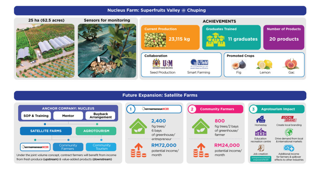 Superfruits | NCER Malaysia